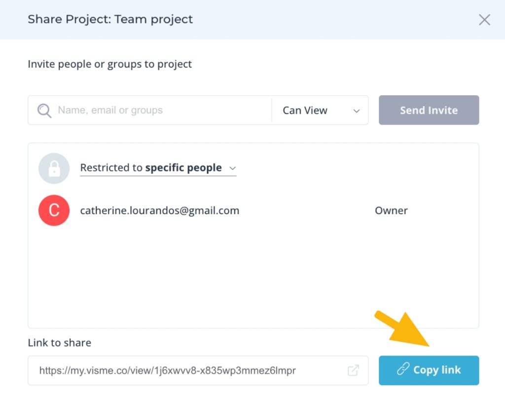 Set & Share Permissions to Projects | Visme