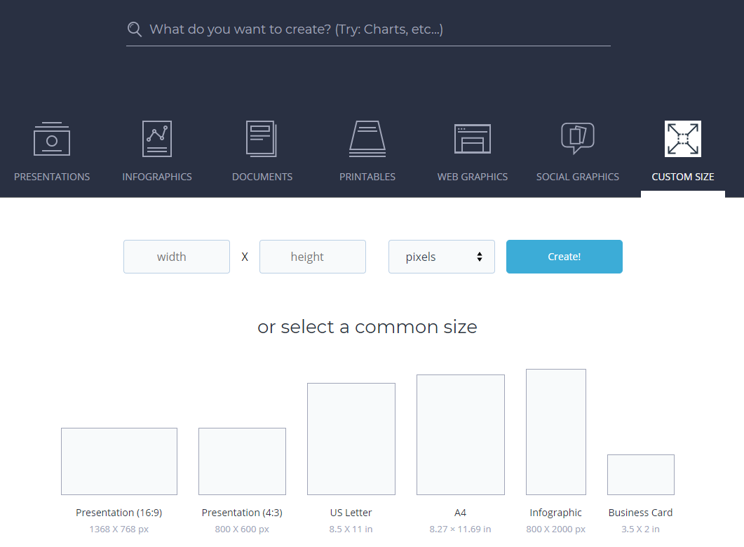 Create Your Custom Size Projects Visme
